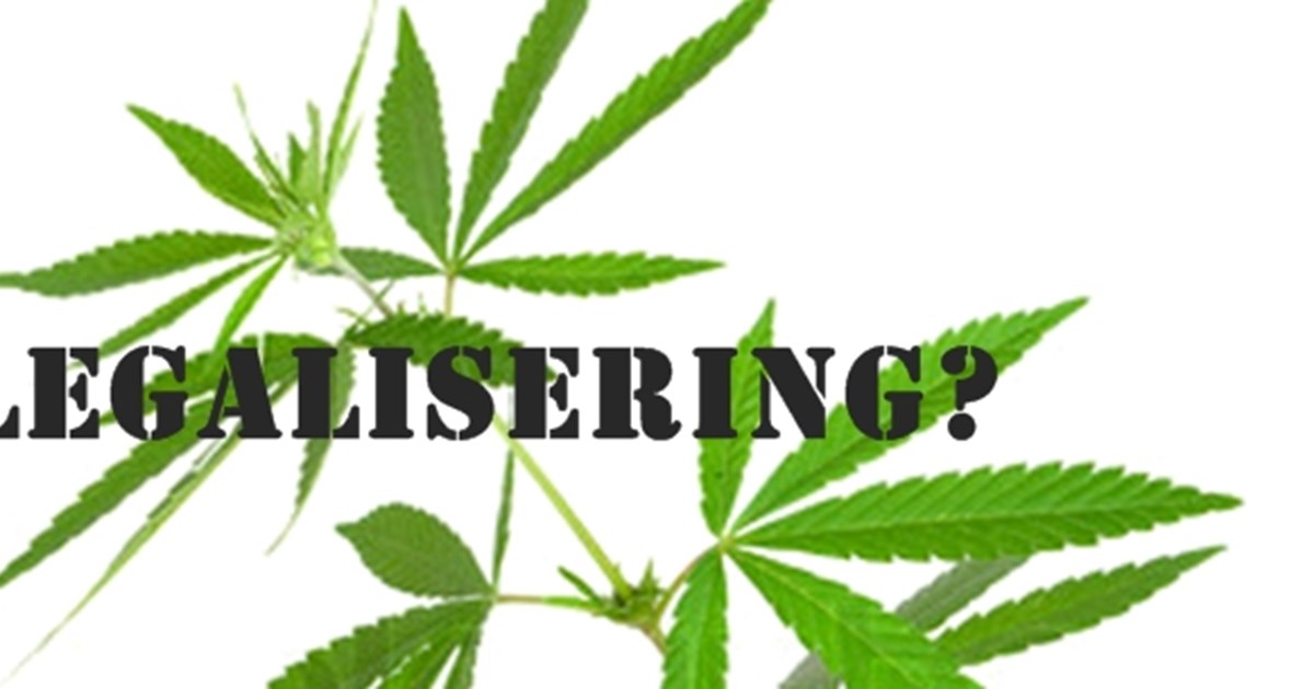 forebygging.no - 8 av 10 er imot legalisering av cannabis forebygging.no - 8 av 10 er imot legalisering av cannabis